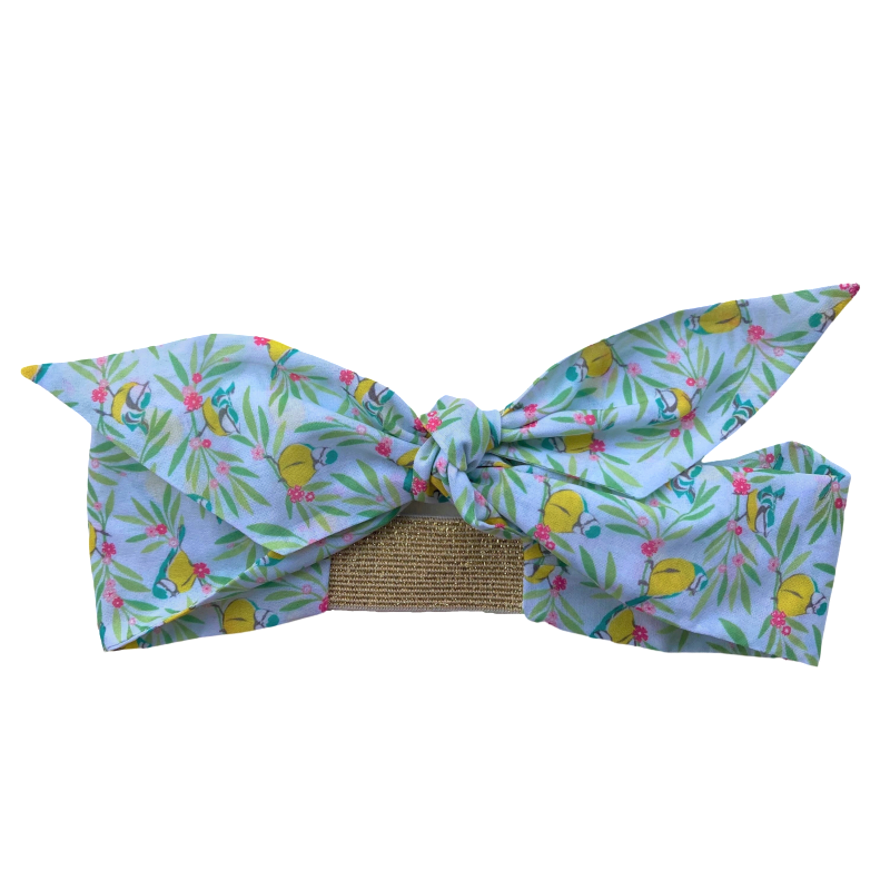 Bandeau Mesange